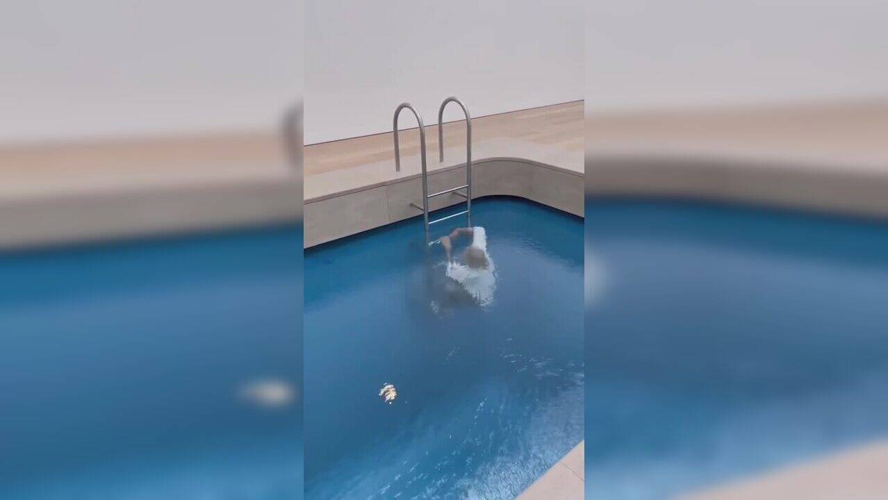 ‘The Swimming Pool’ optical illusion: Mind-bending creation that ...