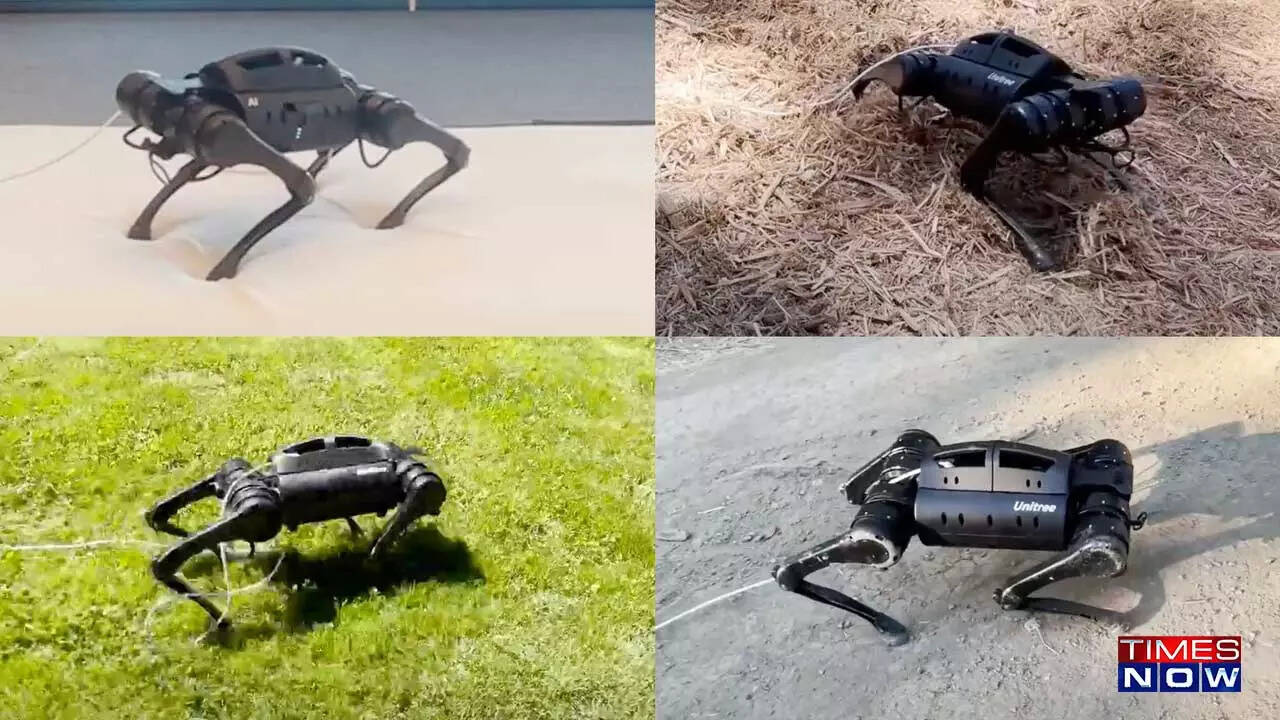 Robot Dog learns to walk on its own in 20 minutes without any prior ...