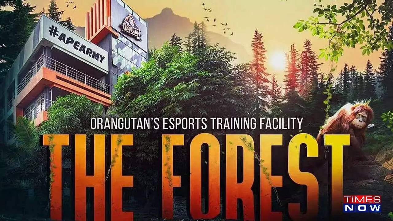 Orangutan Gaming unveils its Esports Training Facility calls it THE FOREST | Technology ...