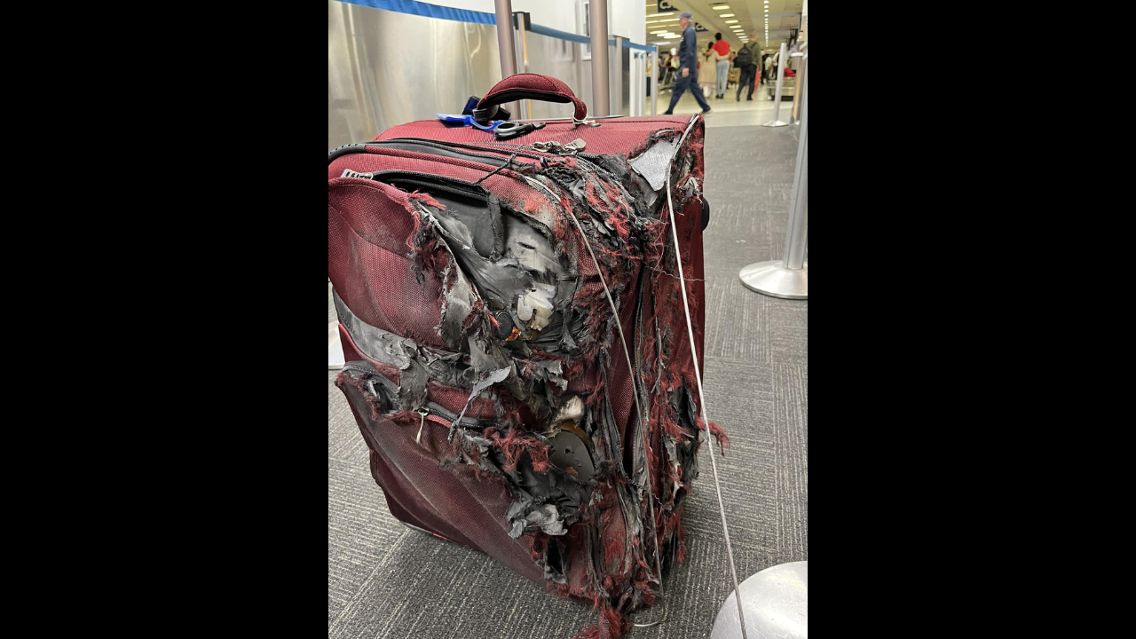 'Did the plane crash on top of it?' Photo of damaged suitcase goes viral