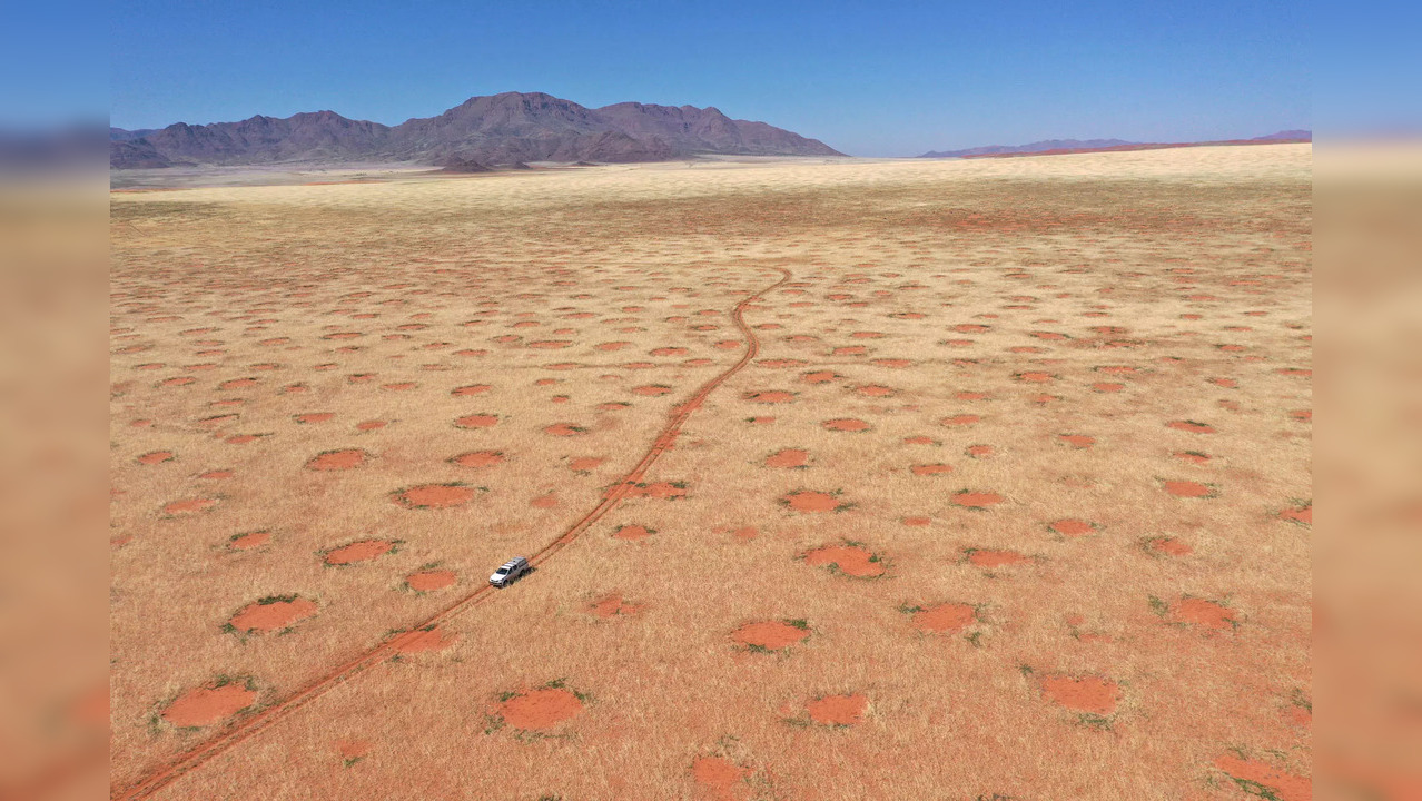 Scientists claim to have finally solved the surreal mystery of Namib's ...