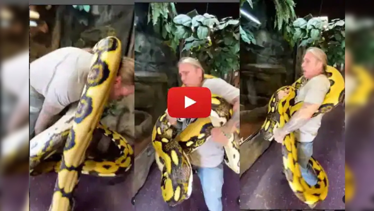 Viral video of snake handler squeezed by 20-foot-long Python will leave ...
