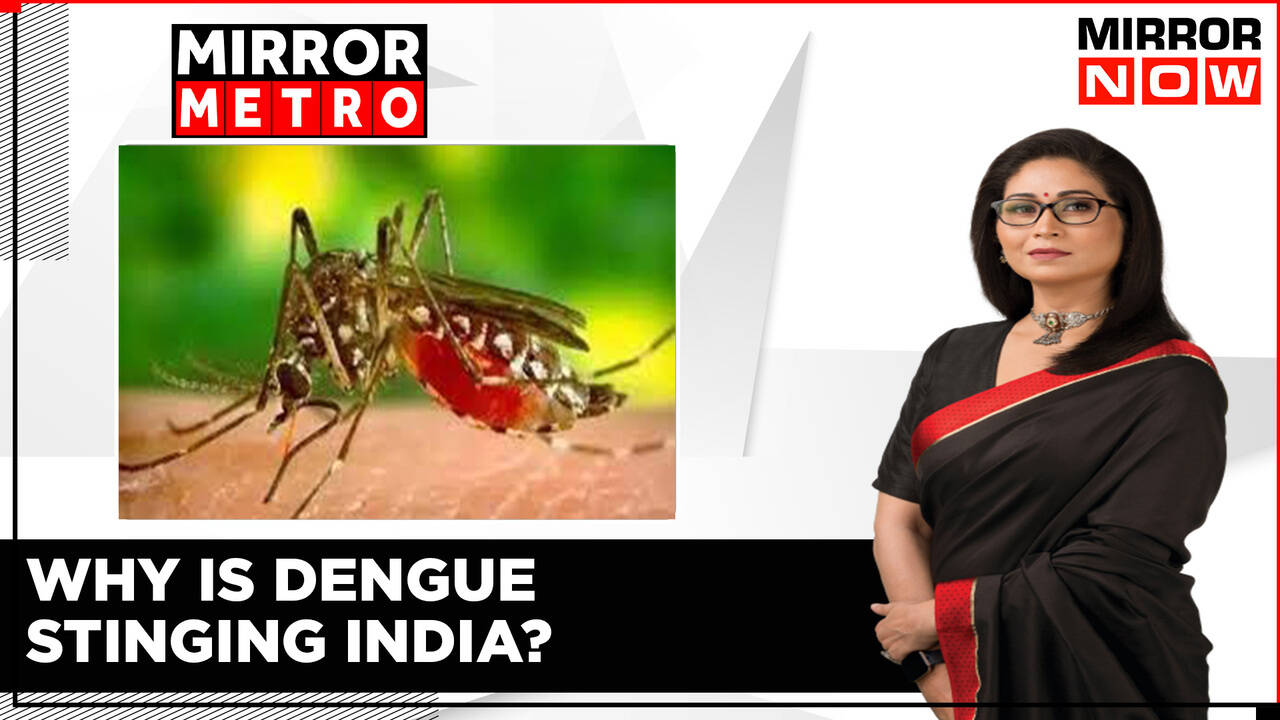 Dengue Stings India: Outbreaks In Bengal, Delhi and Uttar Pradesh ...