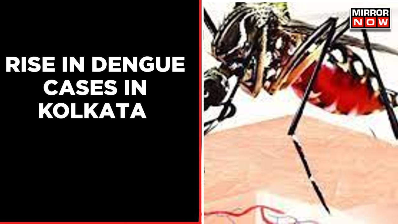 Hospitalization Rate Of Dengue Patients Is Increasing In West Bengal ...
