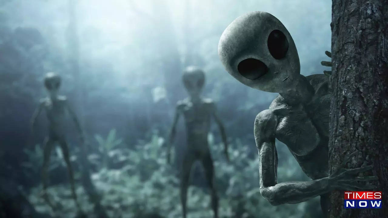 Smells like Alien? Broccoli emits gas that could signal presence of ...