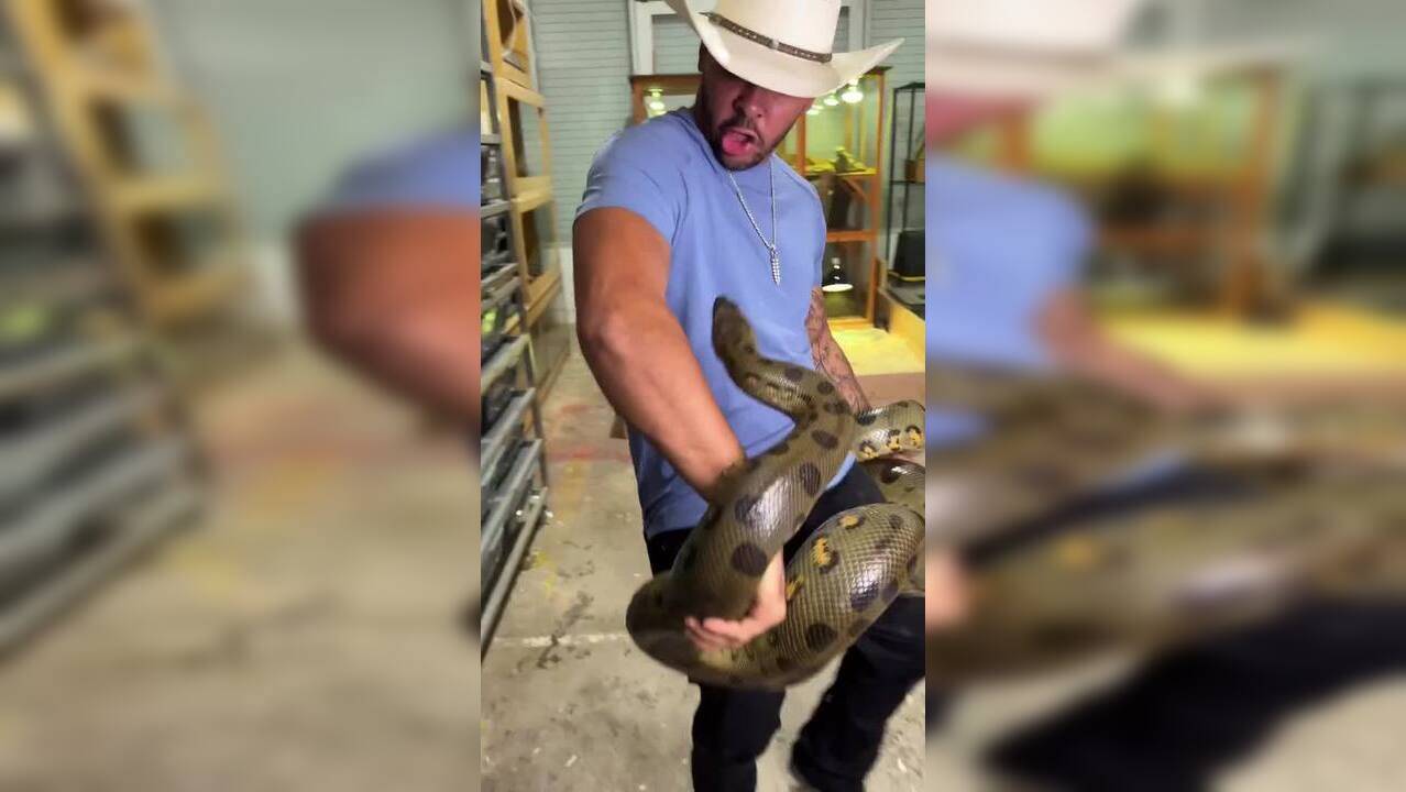 Man, who nearly lost his eye to python bite, bitten by anaconda ...