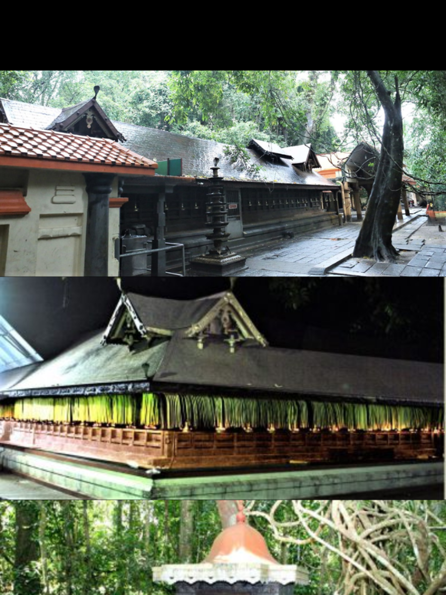 Mannarasala Ayilyam 2022: Date, timings, distance from Haripad and all ...