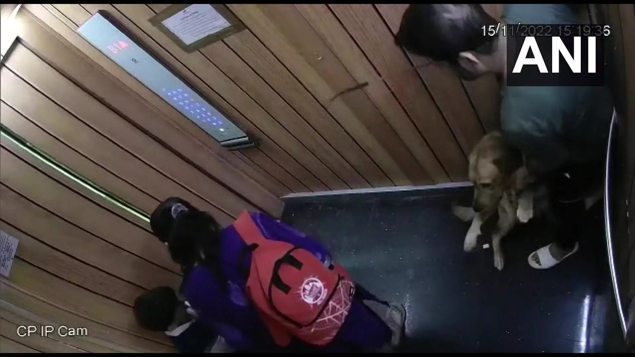 Viral video: Pet dog attacks child in Noida housing society lift ...