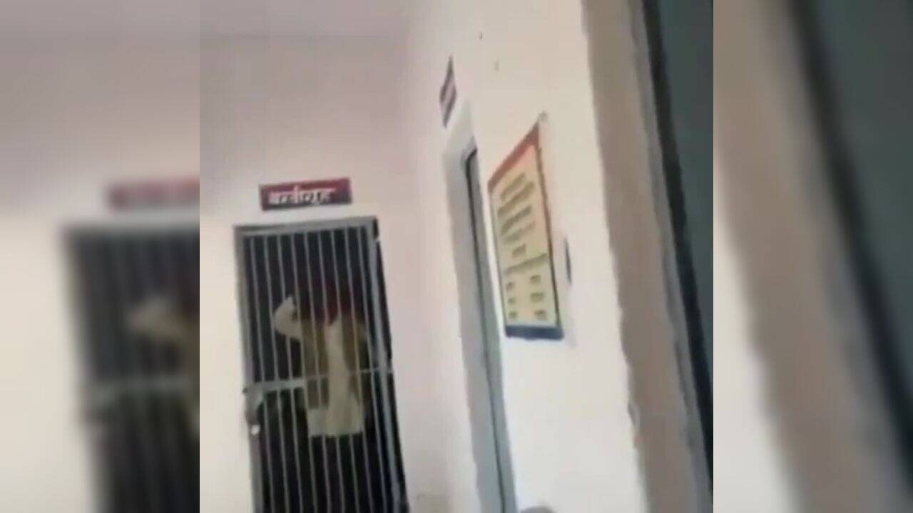 Mujhe pine ka shauk nahi...: Prisoner sings song inside jail, cops reaction is a viral video ...