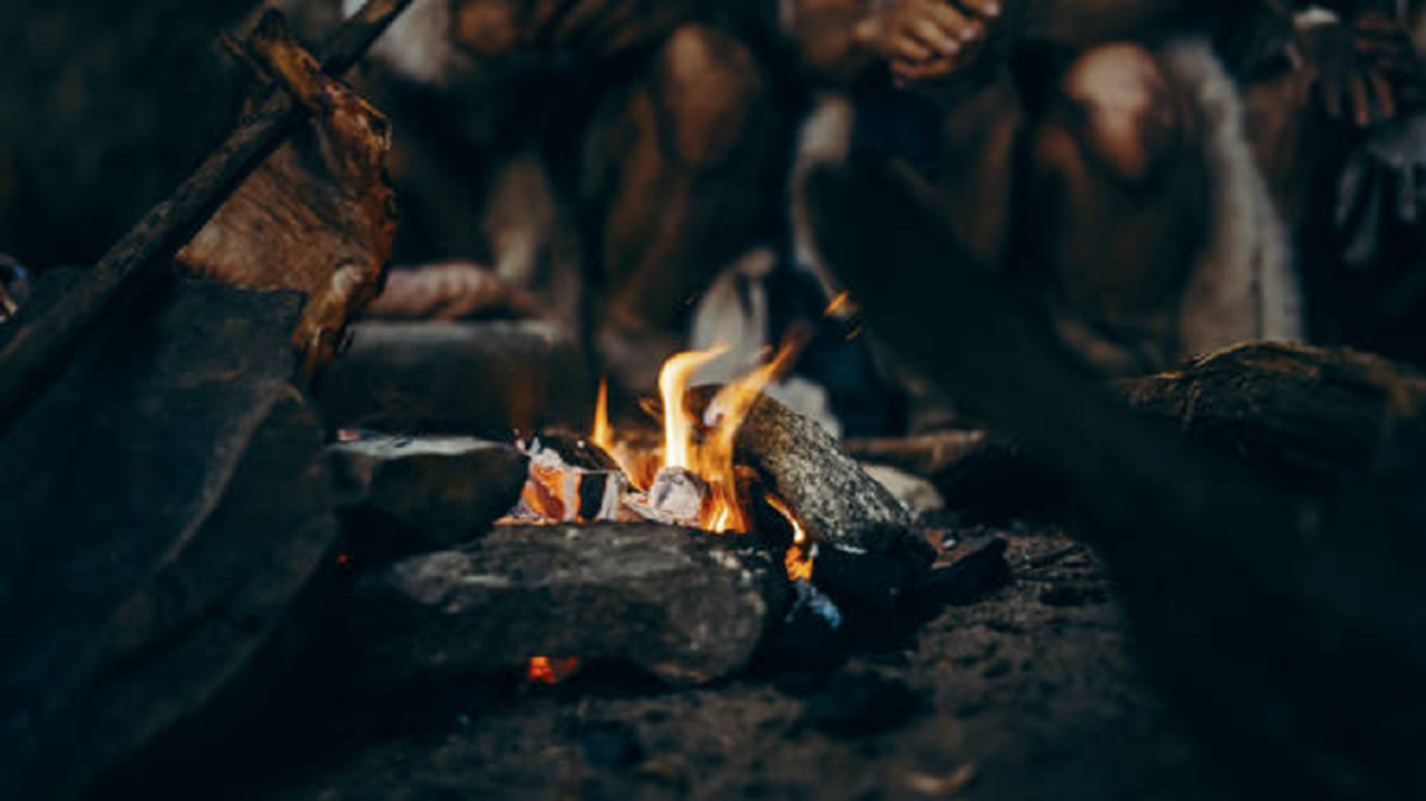 The first usage of fire to cook food happened 7,80,000 years ago in ...
