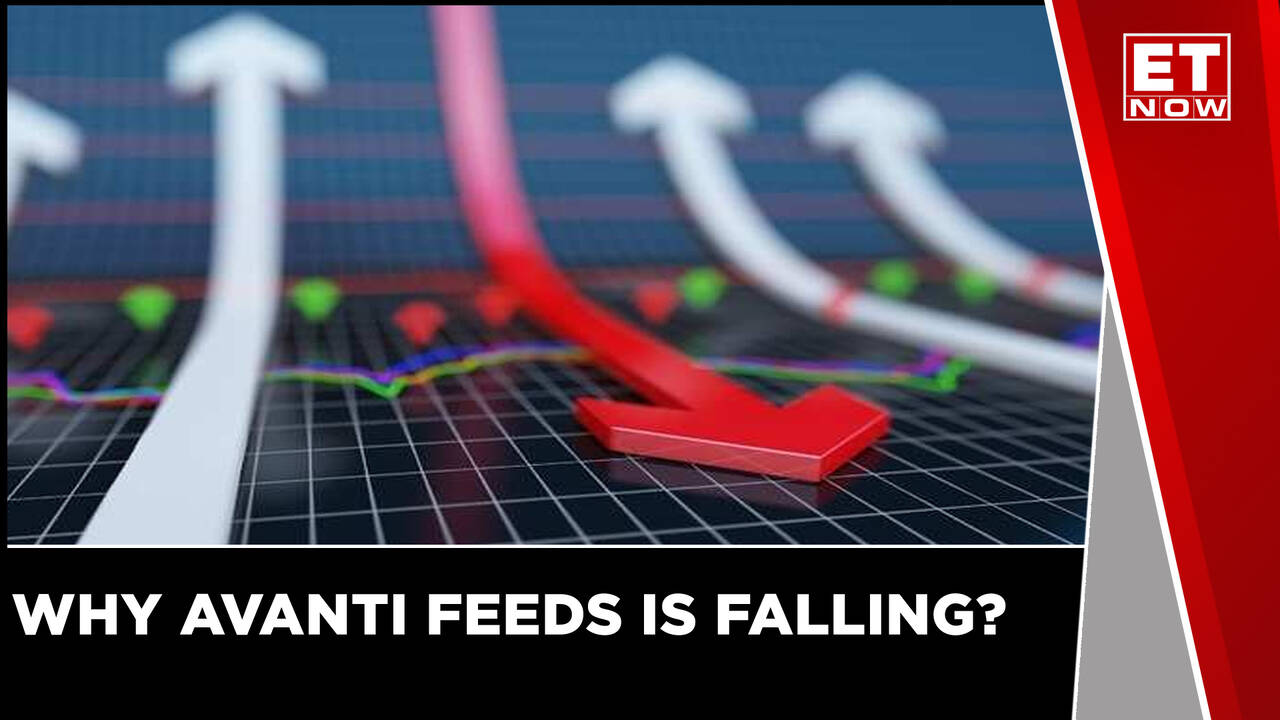 Why Avanti Feeds Is Falling? | Times Now