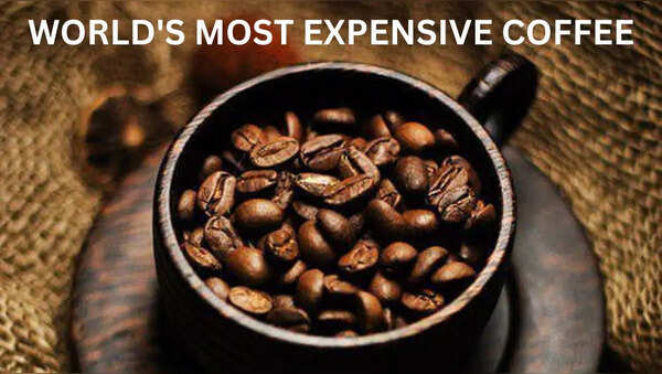 Indonesia has world's most costly coffee made from animal poop ...
