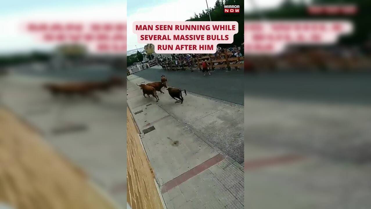 Viral Video | Man Escapes Serious Injury Several Times During Bull Run ...