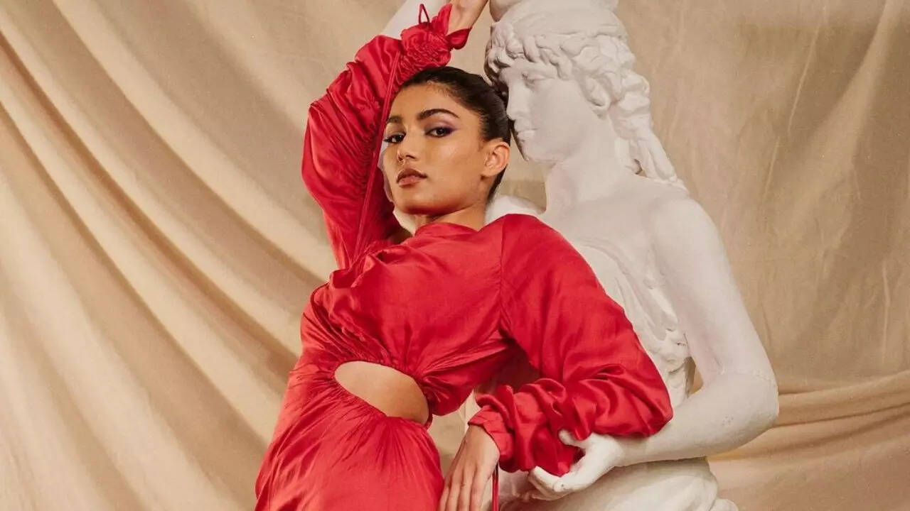 Salman Khan's niece Alizeh Agnihotri is all set to make her debut in ...