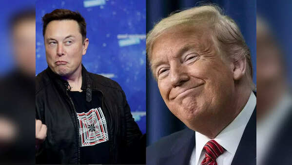 Elon Musk to support Donald Trump's rival Ron DeSantis in US ...
