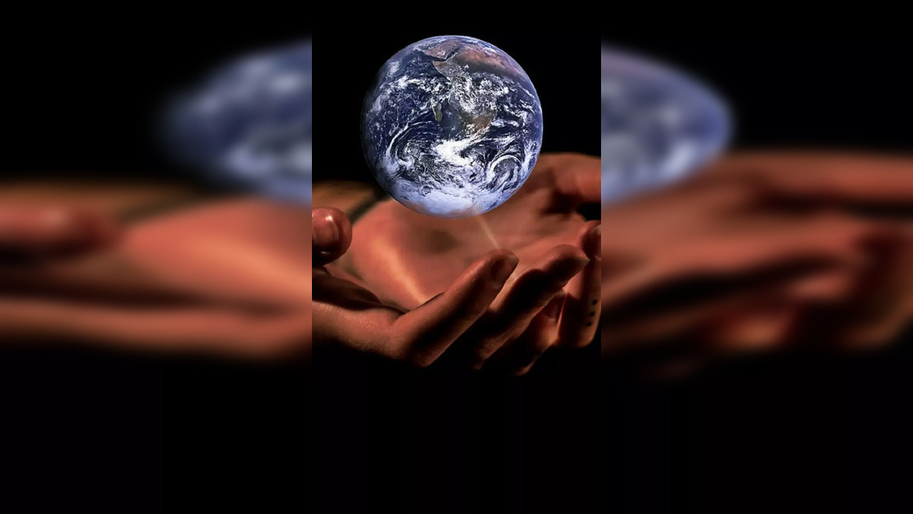 Earth going through 7th mass extinction, not 6th: Study | Technology ...