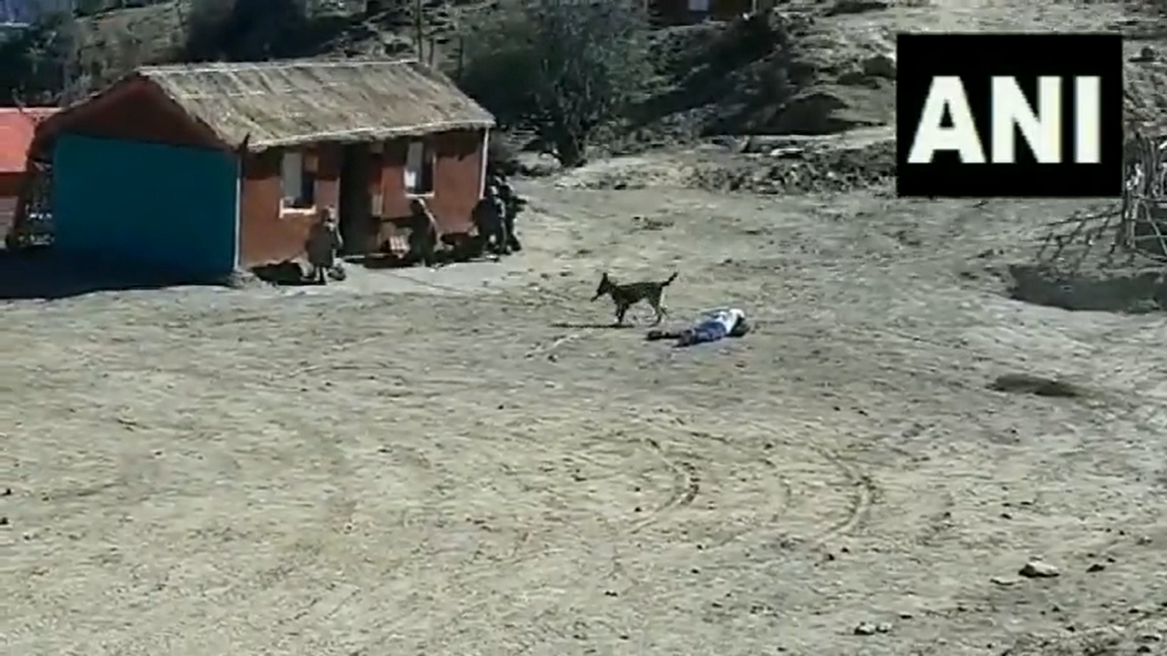 WATCH: Assault dogs for anti-terror ops, kites for drones; India-US ...