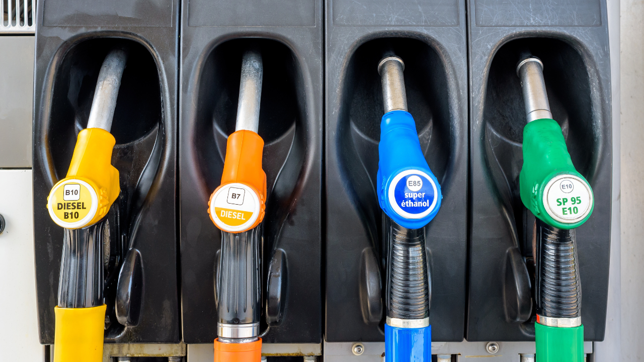 India to pitch for international biofuels alliance at G20: Puri | Auto ...