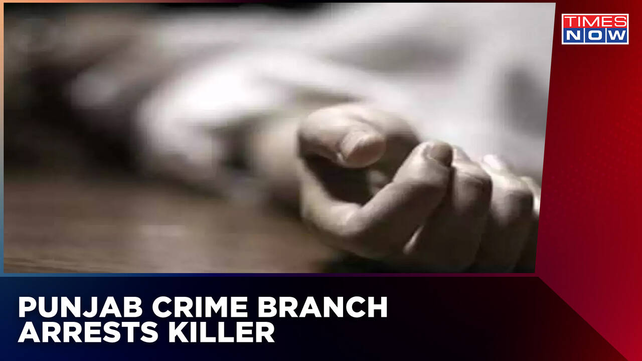 Another Gruesome Murder In Delhi, Man Kills His Live-In Partner ...