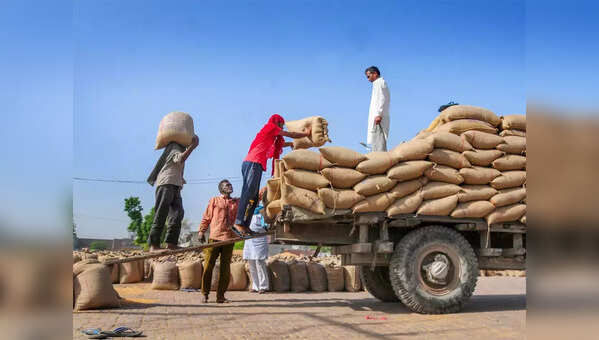 Centre plans the world’s largest grain storage programme for food ...