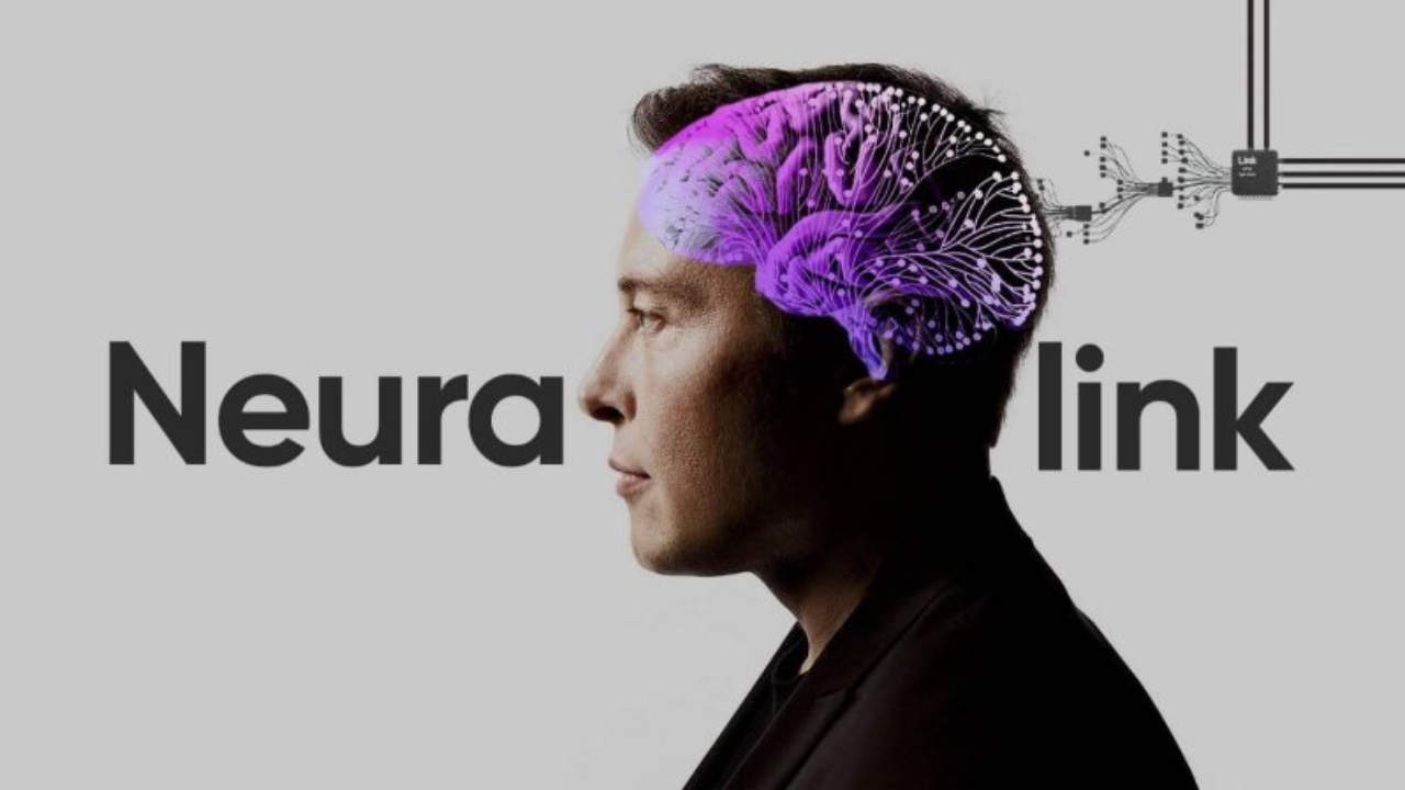 Elon Musk's Neuralink has killed over 1,500 animals; reveals new report ...