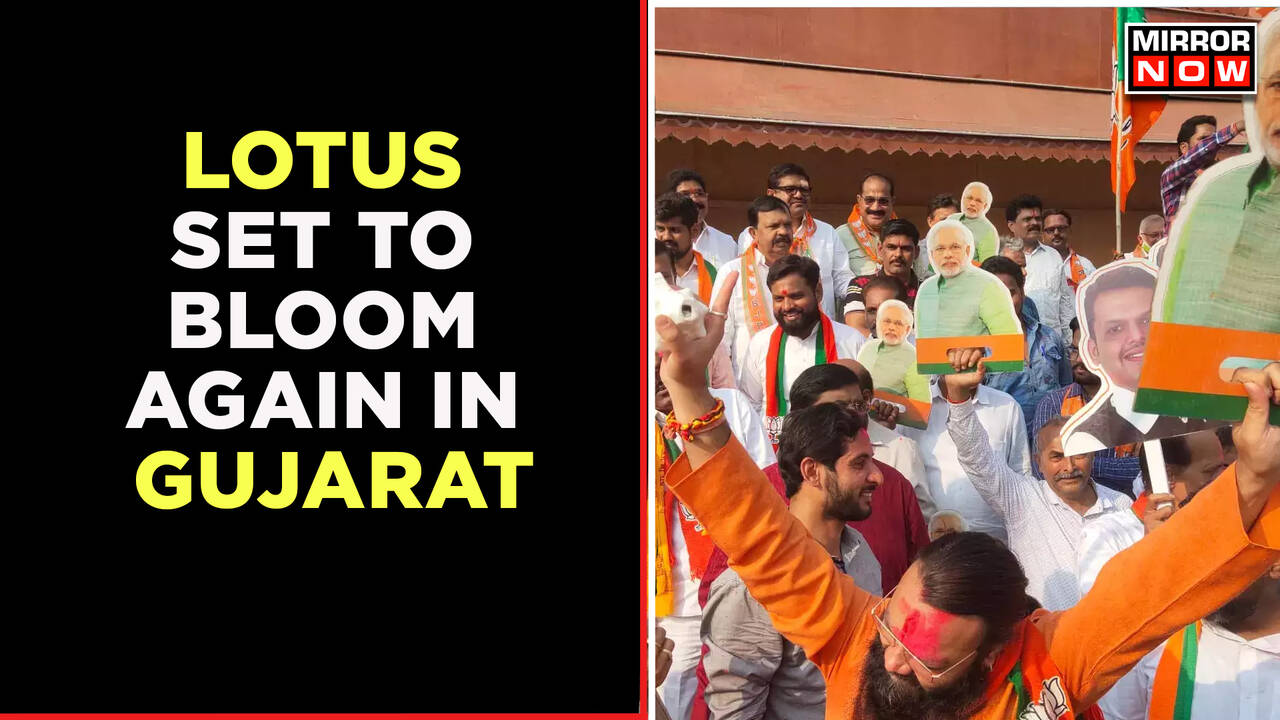 Lotus All Set To Bloom Again In Gujarat | Cong, AAP Decimated In PM ...