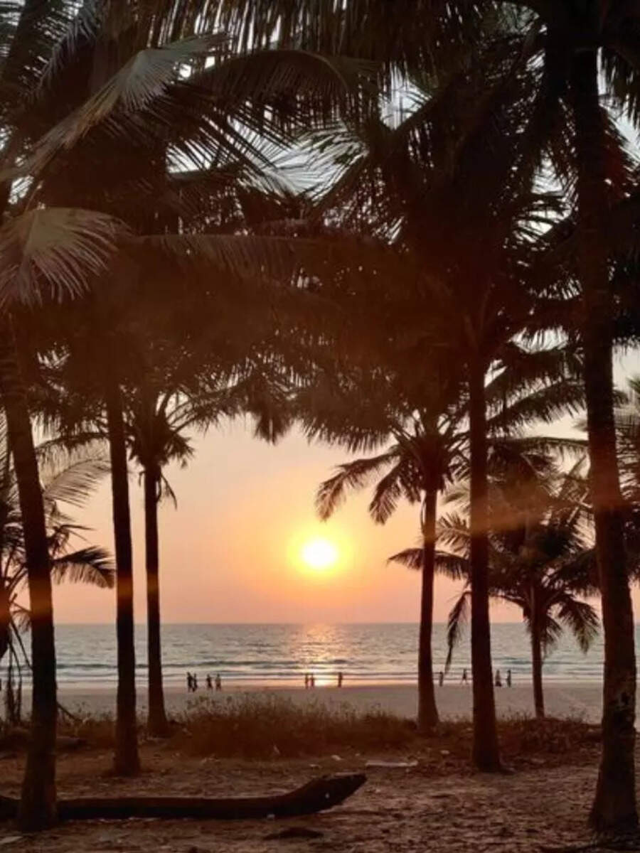 Destination wedding in Goa | Offbeat wedding destinations in Goa| Times Now