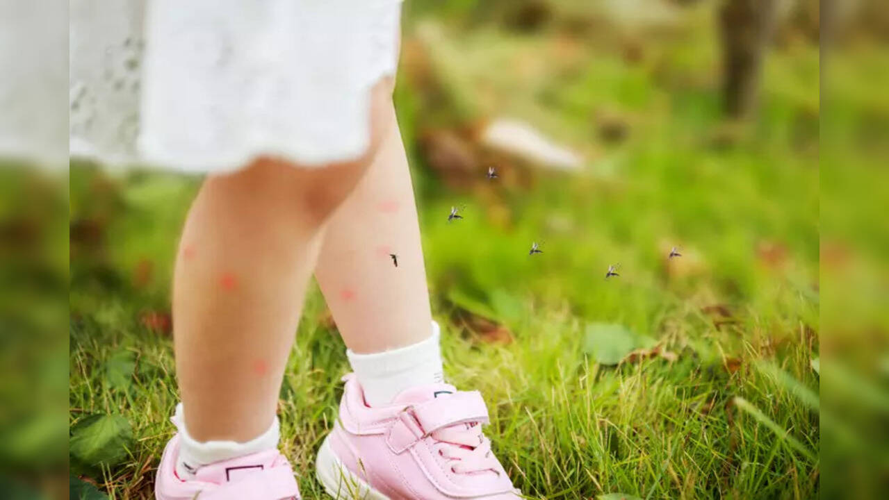 Zika virus in Karnataka: First case of Zika virus in 5-year-old girl ... Zika virus in Karnataka: First case of Zika virus in 5-year-old girl ...