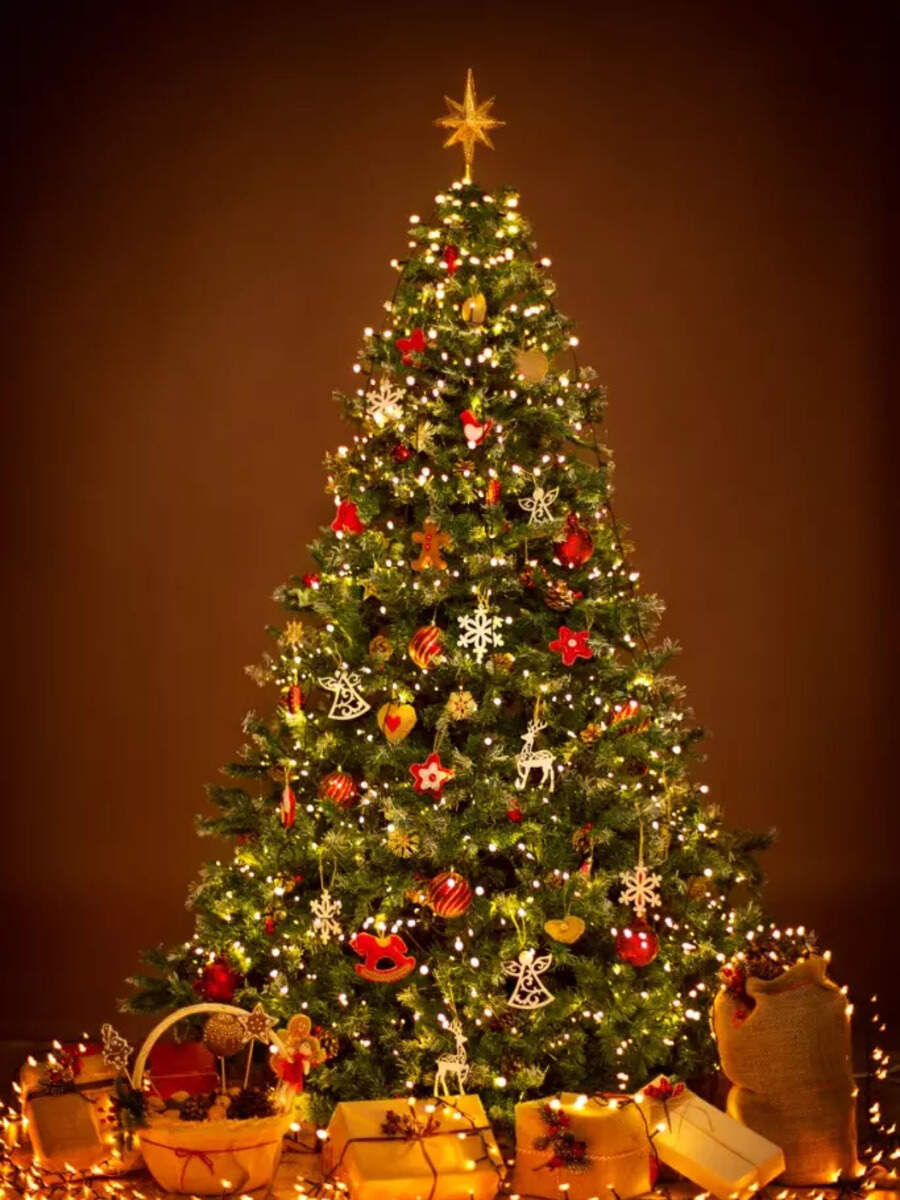 Christmas Tree Ideas and what you must add to the tree| Times Now