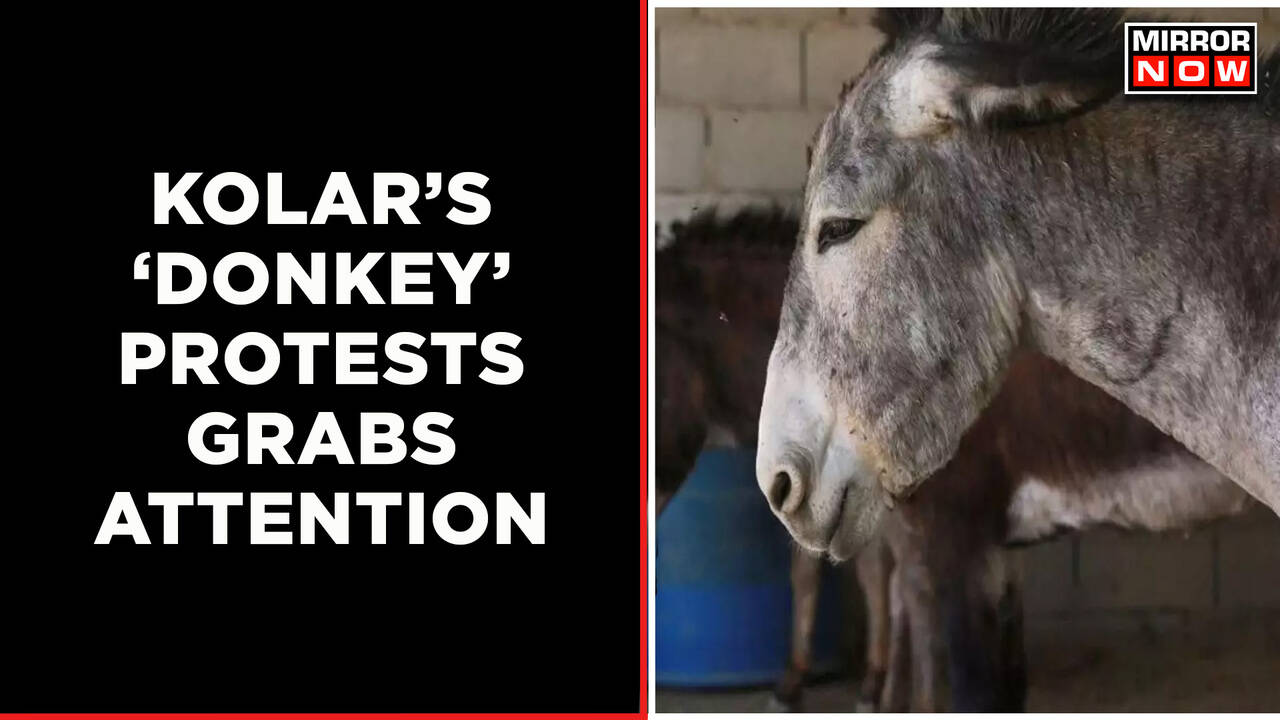 Protests Erupt In Kolar | 'Donkey' Protest Grabs Attention To Poor ...