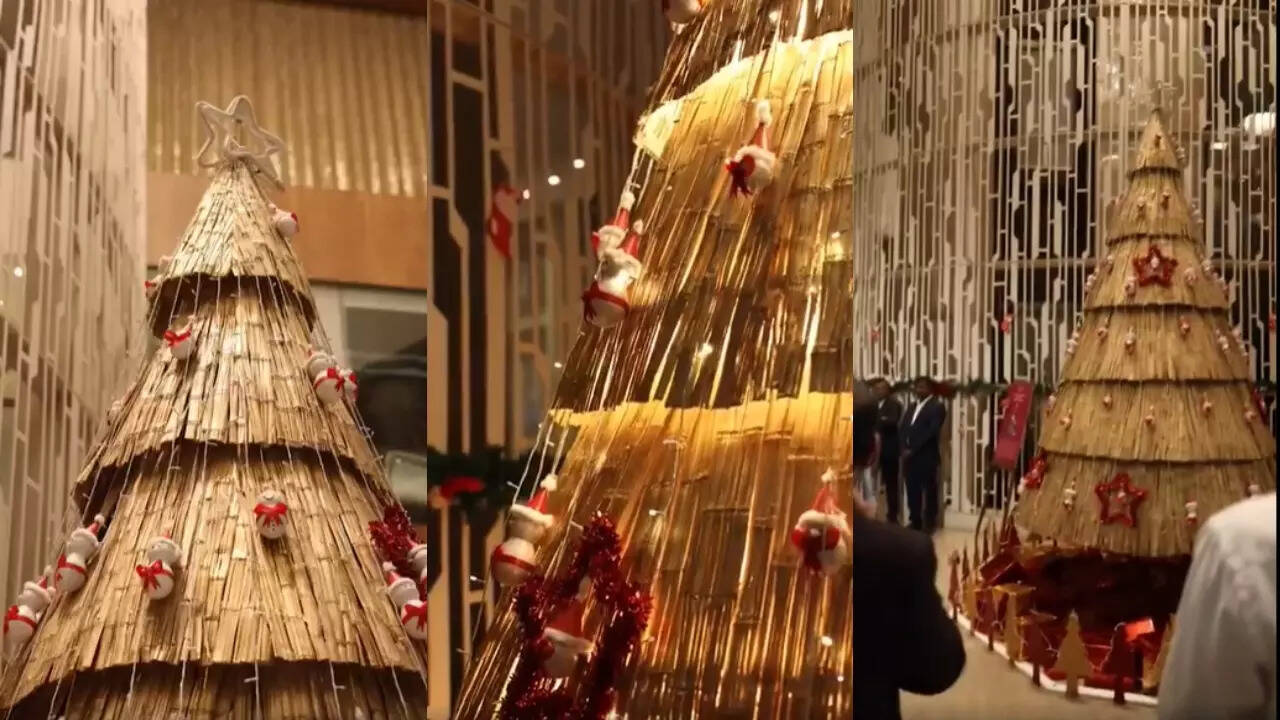 The 'RRR' Christmas trees: Chennai Star hotels make Christmas trees ...