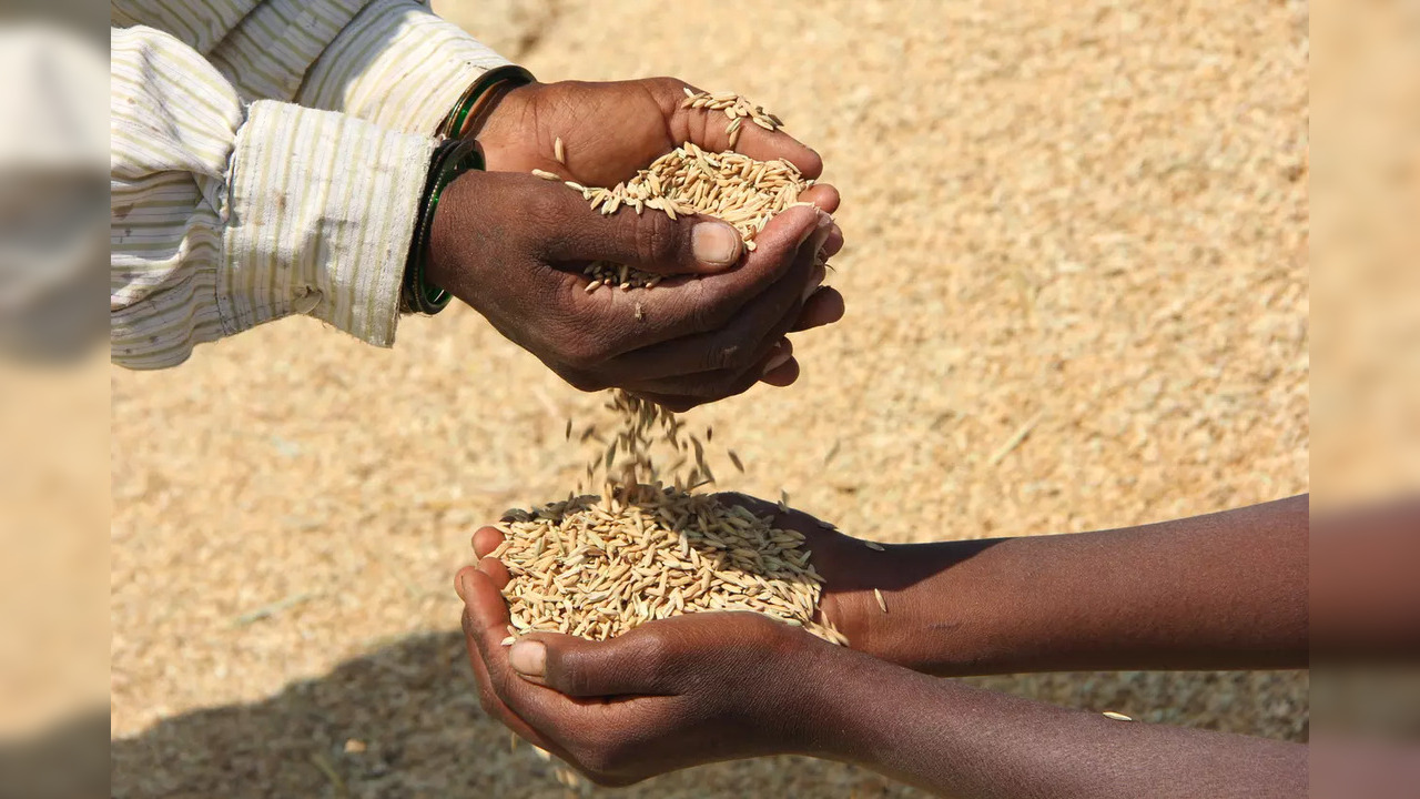 Free grain for poor may stay for longer; subsidy burden can be offset ...