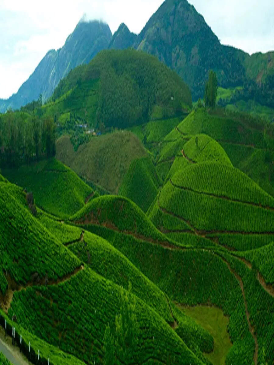 Kerala: One-stop destination for backwaters, beach, hill station lovers ...