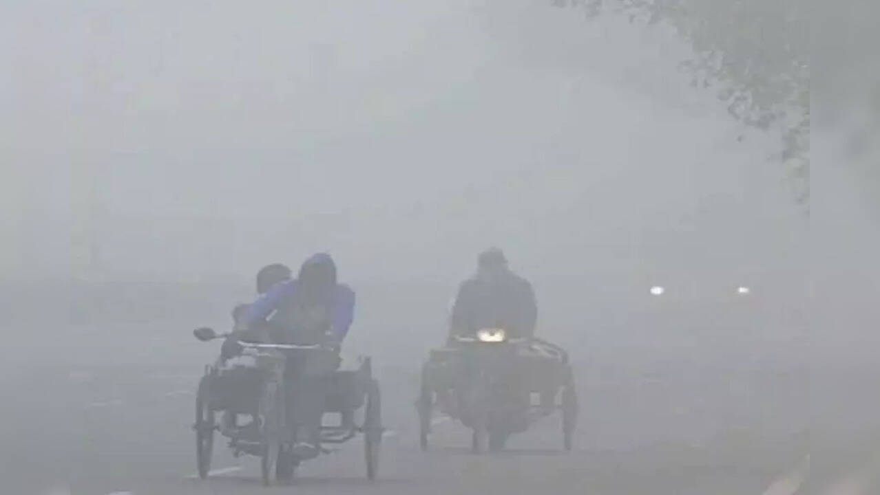 Weather today: Cold wave conditions, dense fog in north India; Delhi temperature, no news of ...
