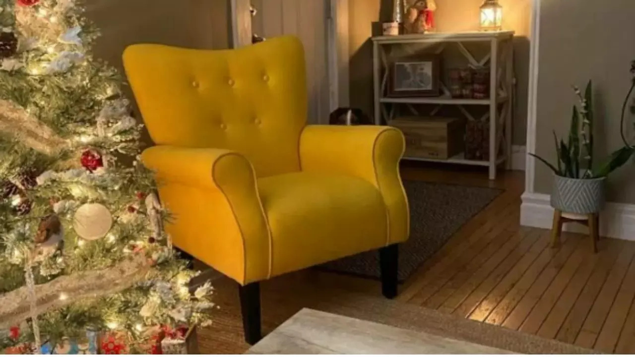 Optical illusion: Can you find the hidden dog in the picture in 15 ...