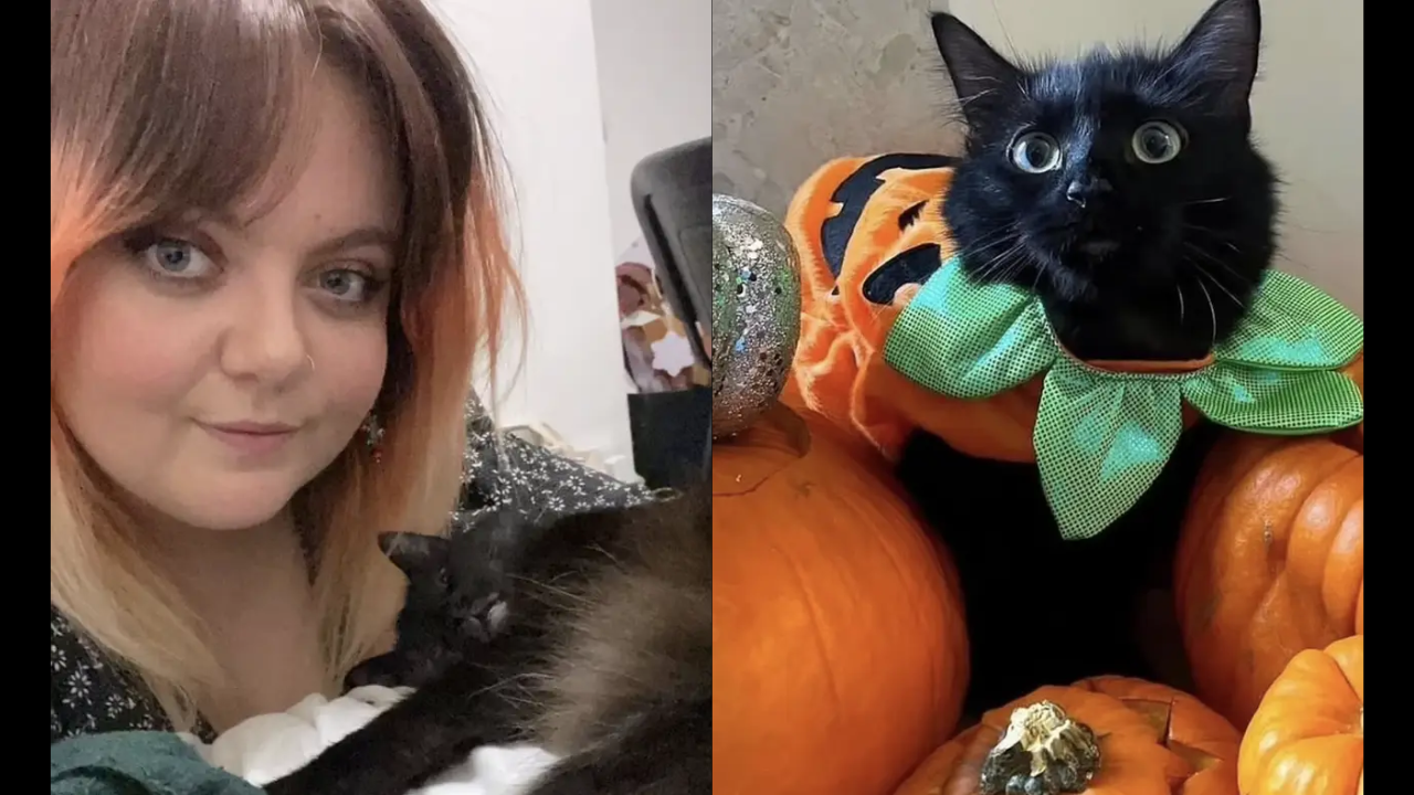 Woman spends Rs 7 lakh at vets only to be told her cat is 'just weird ...