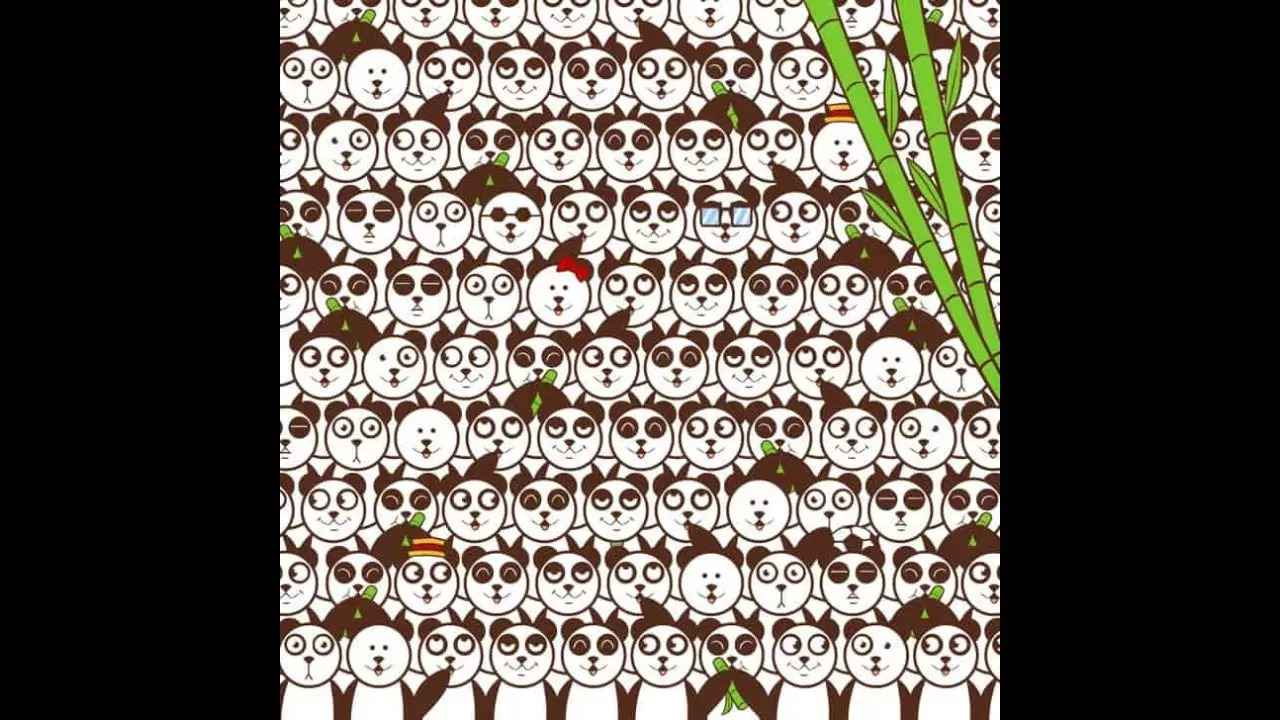 Optical illusion: Can you find soccer ball among the pandas in 15 seconds? Challenge yourself ...