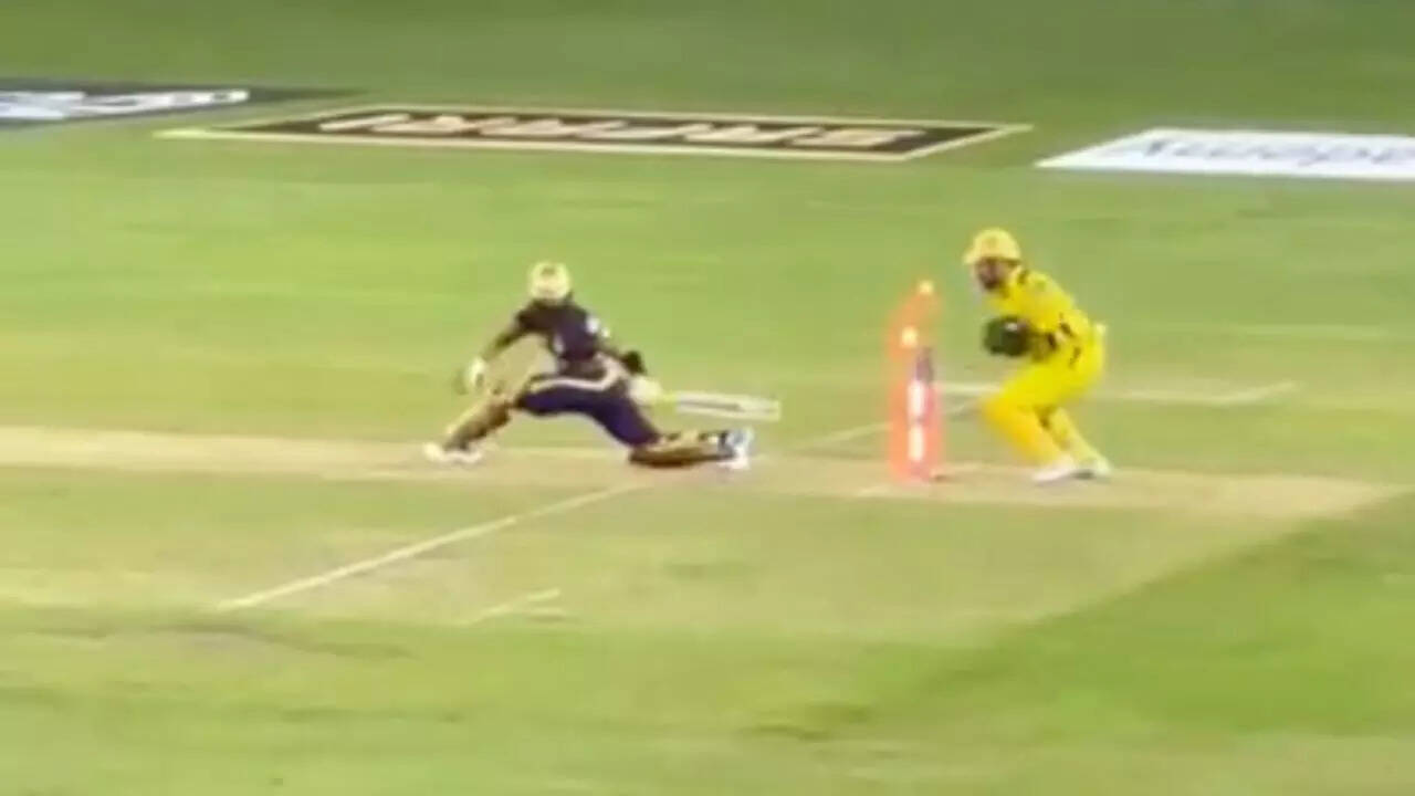 Viral video: This MS Dhoni stumping was so fast, fans thought Dinesh ...