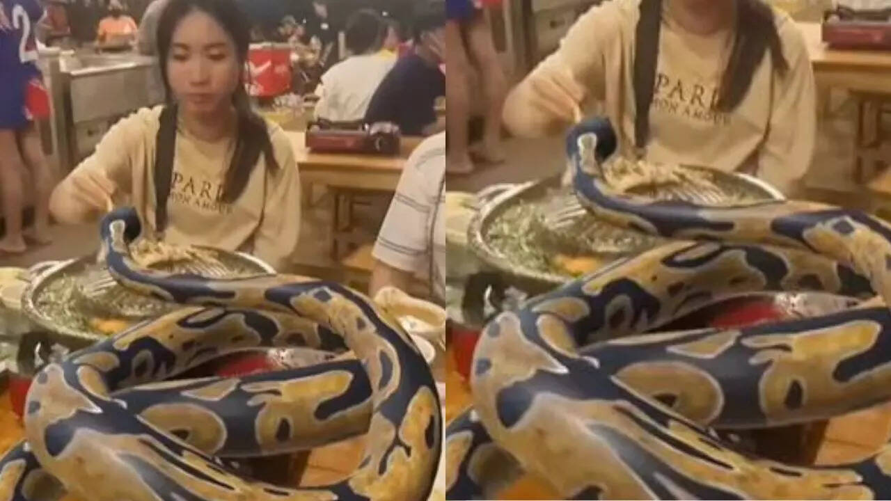 Women dining with python on table leaves netizens horrified - Viral ...