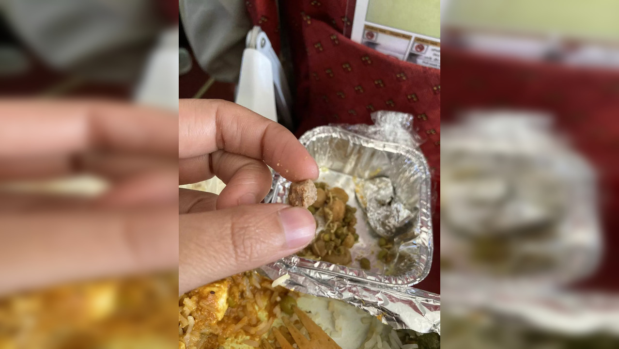 Woman finds stone in Air India flight's meal, shares pictures on ...