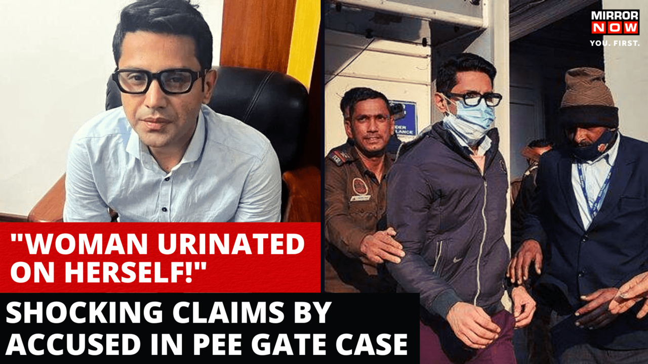 Air India Pee Gate: Accused and Arrested Shankar Mishra Tells Delhi ...