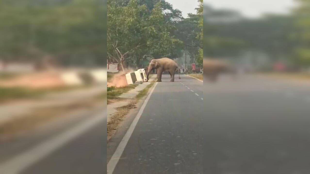 Viral video: Enraged elephant flips over car in Assam’s Guwahati ...