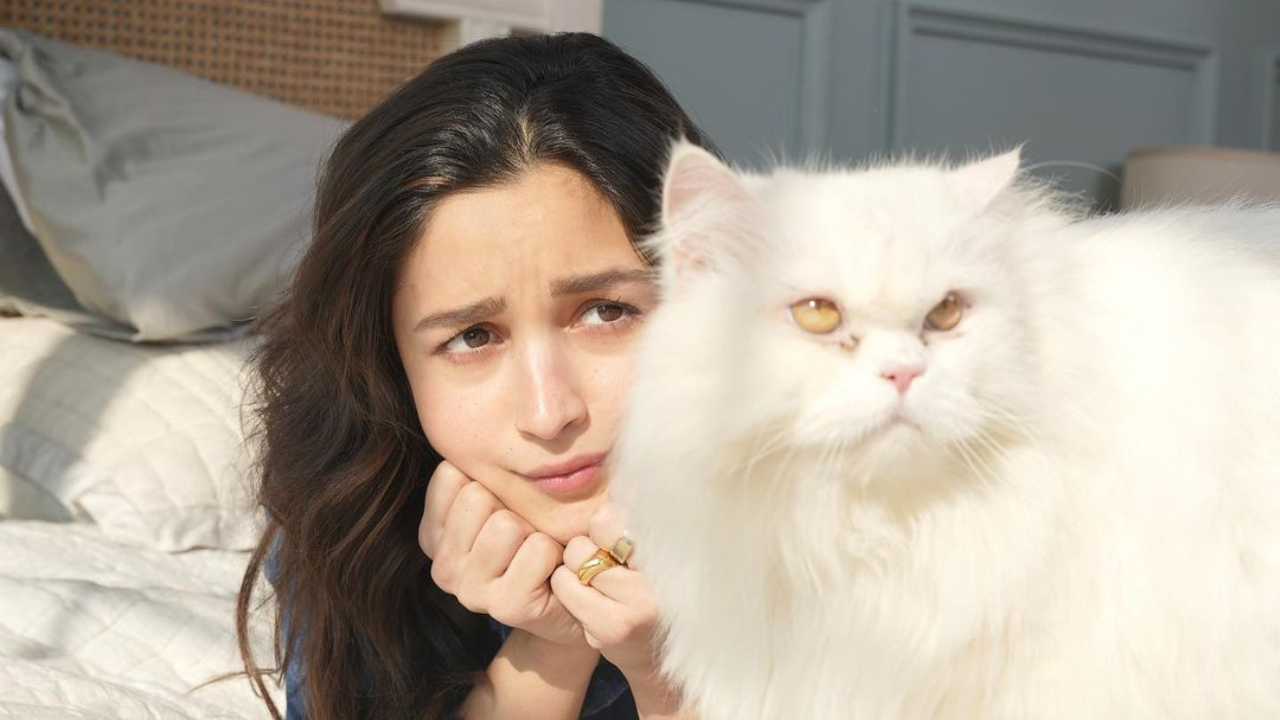 Alia Bhatt has an EPIC reaction to Avatar director James Cameron ...