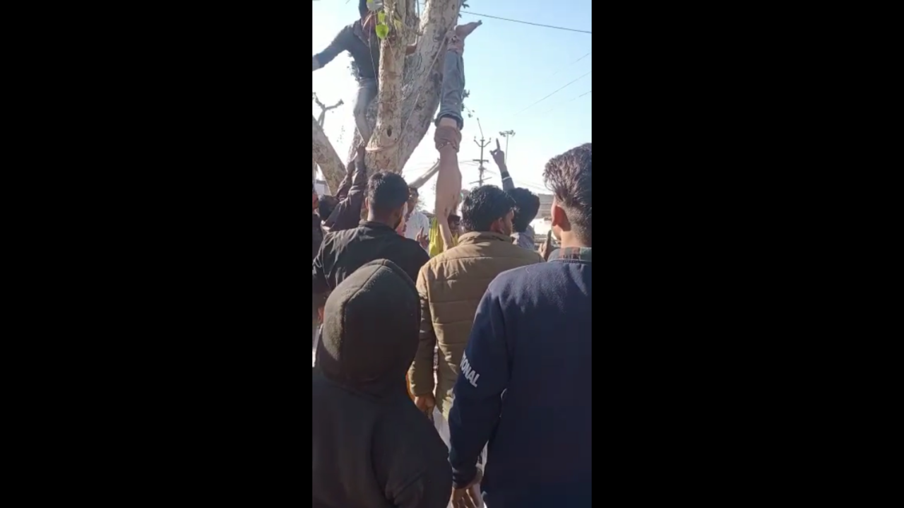 Rajasthan Youth Hanged From Tree Brutally Thrashed For Desecrating