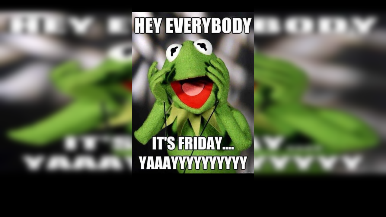 Good morning | Funny good morning Friday wishes, memes to start your ...