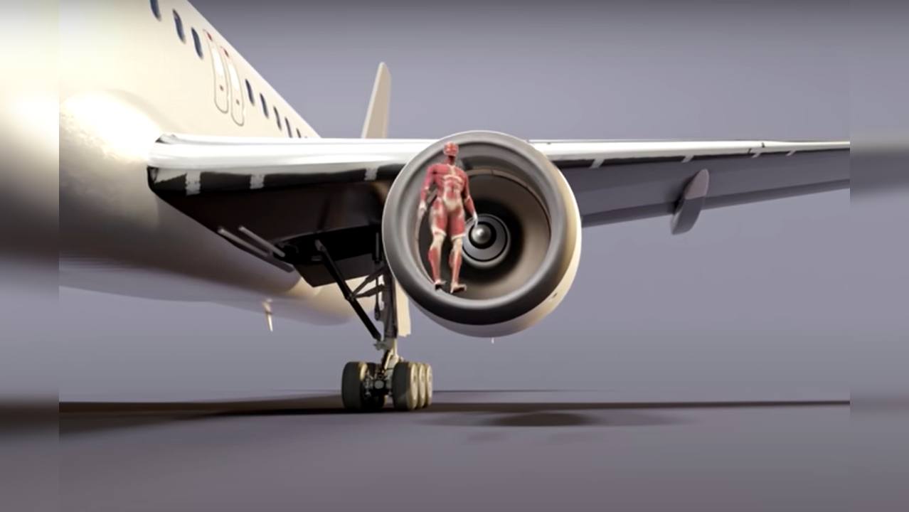 What would happen if you were sucked into an airplane engine ...