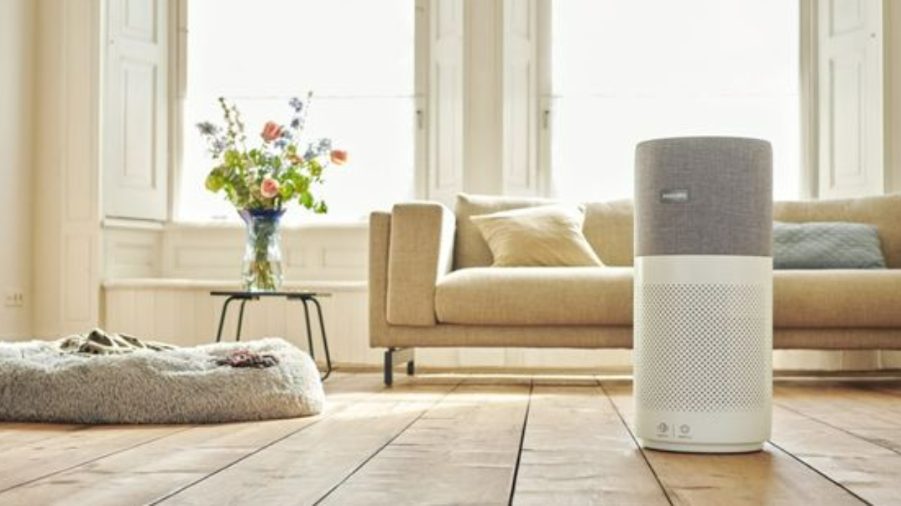 Indoor air pollution: 5 things you can do to avoid breathing polluted ...