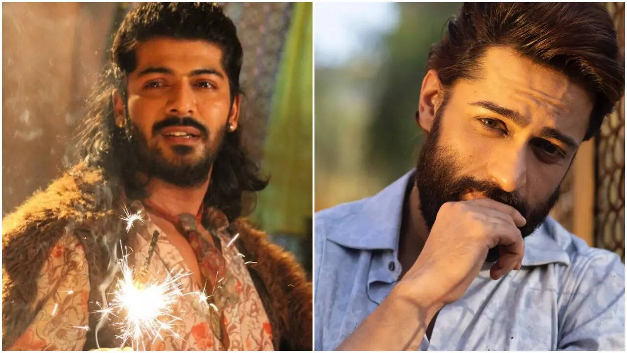 TV Newsmakers Today: Sheezan Khan files bail plea in Bombay HC, Shalin ...