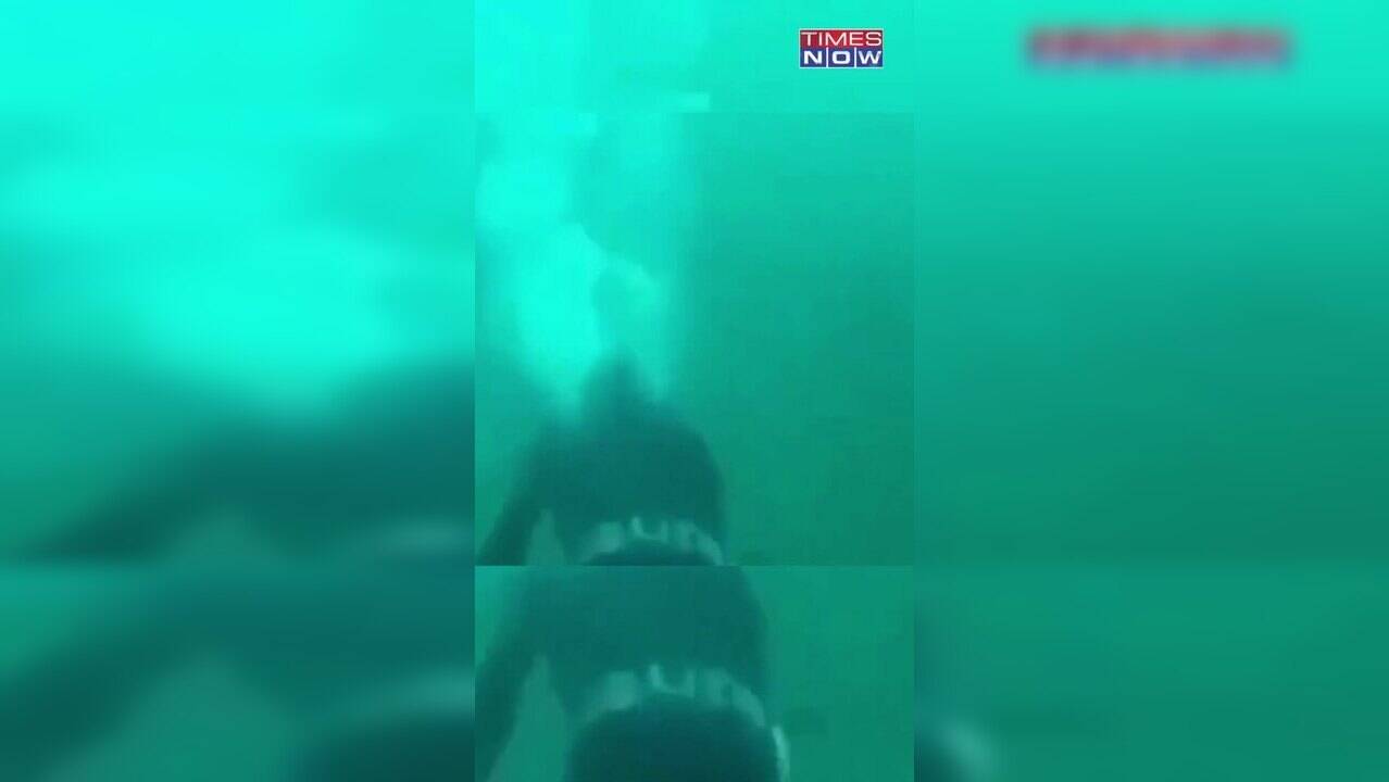 Diver’s Close Encounter With Shark, Video Goes Viral