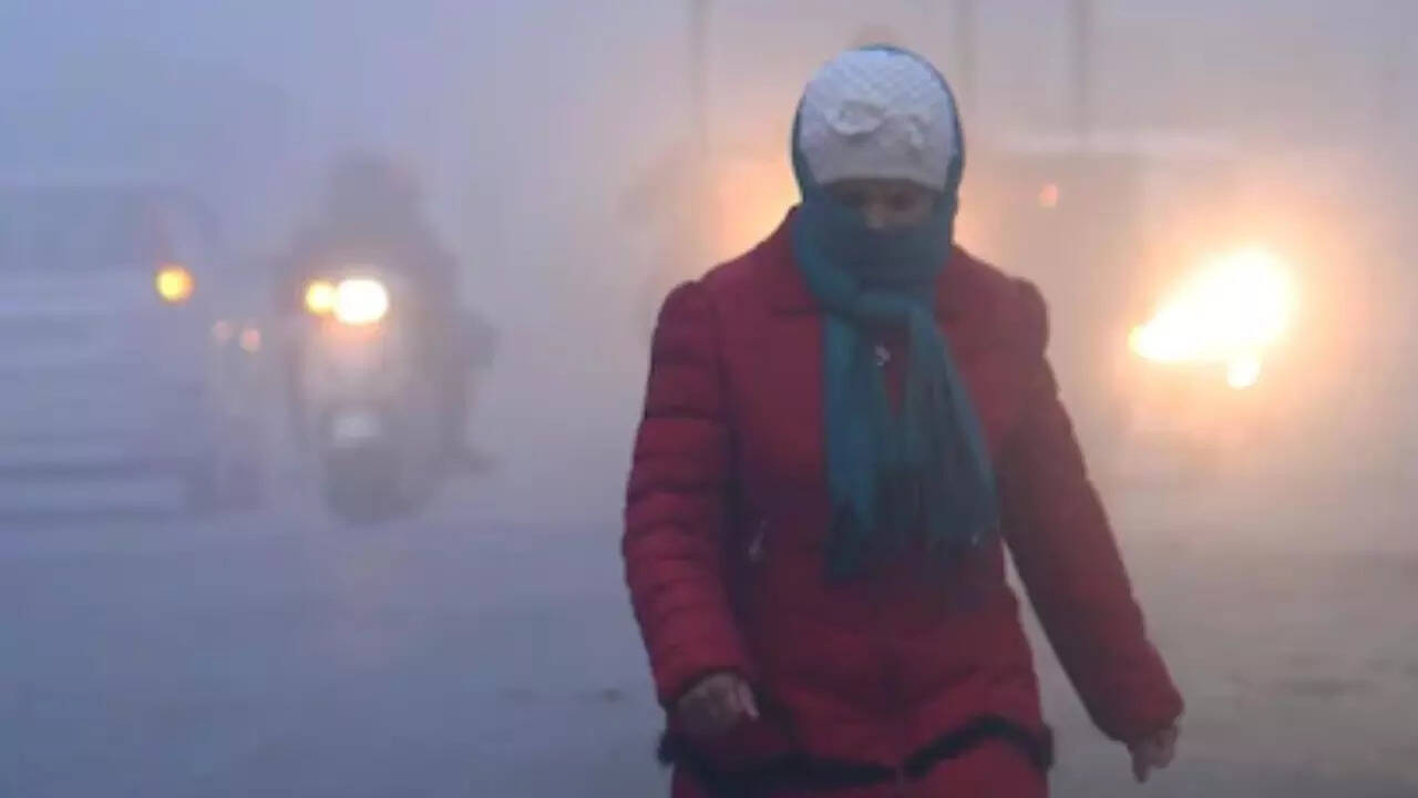 Strong chilly winds continue in Delhi; this January was coldest in 10 ...